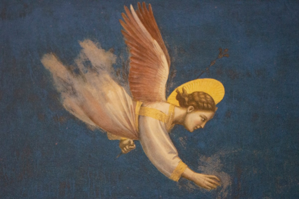 Giotto’s Angels